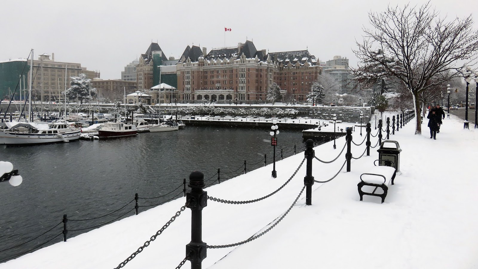 Victoria Weather & Climate: February 2019