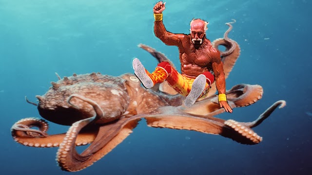 The Cryptic Realm: Scientific American battles the Oklahoma Octopus!