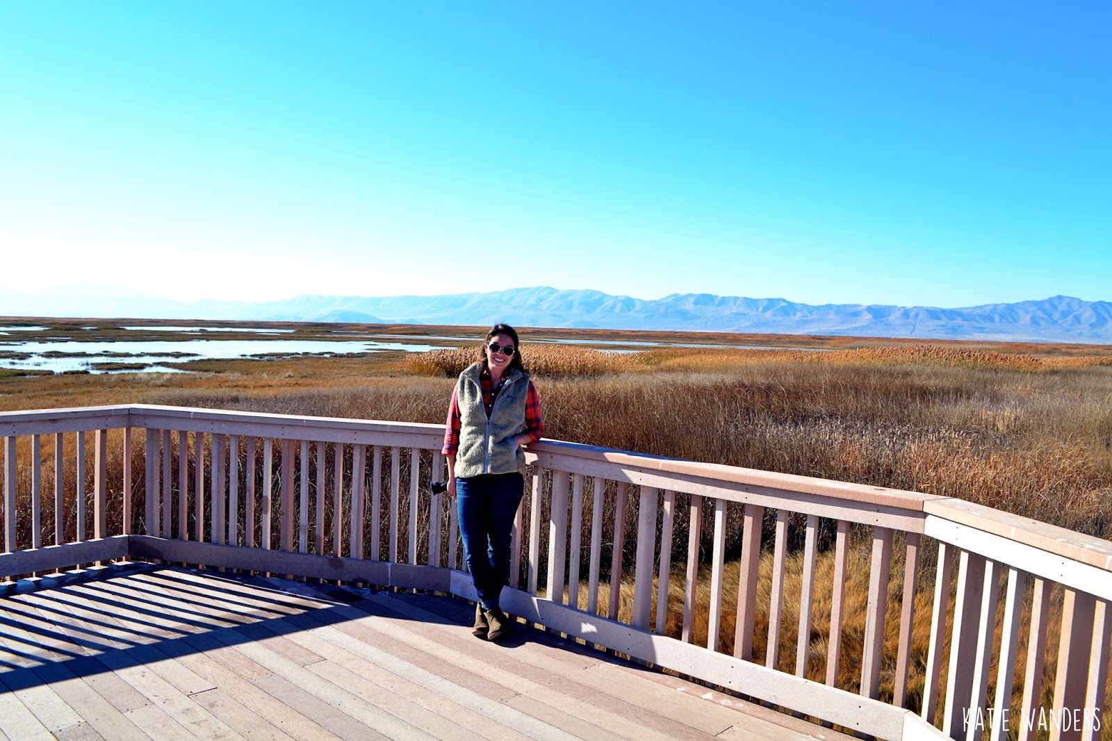 Katie Wanders : Bear River Migratory Bird Refuge