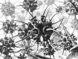 ANTRAX: descripción topografica