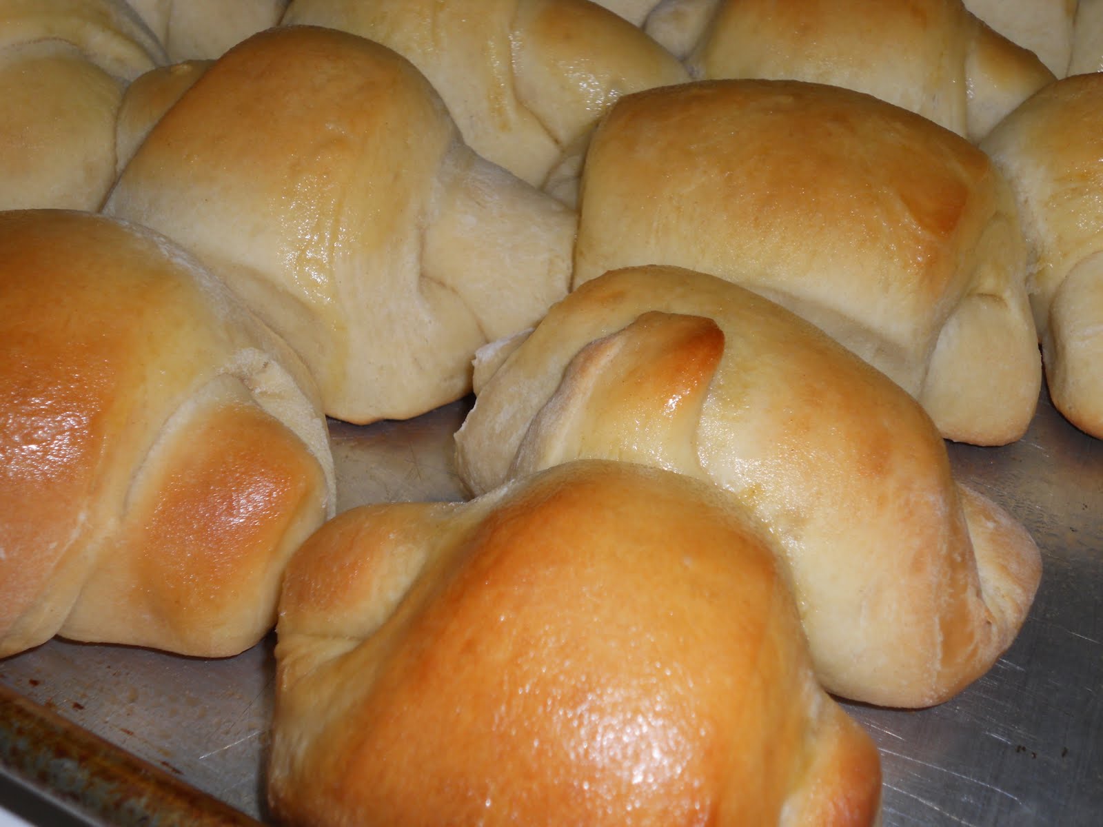 Kristi's Kitchen Kreations: Freezer Rolls