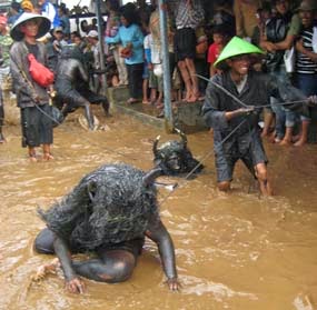TRADISI KEBO-KEBOAN SUKU OSING BANYUWANGI