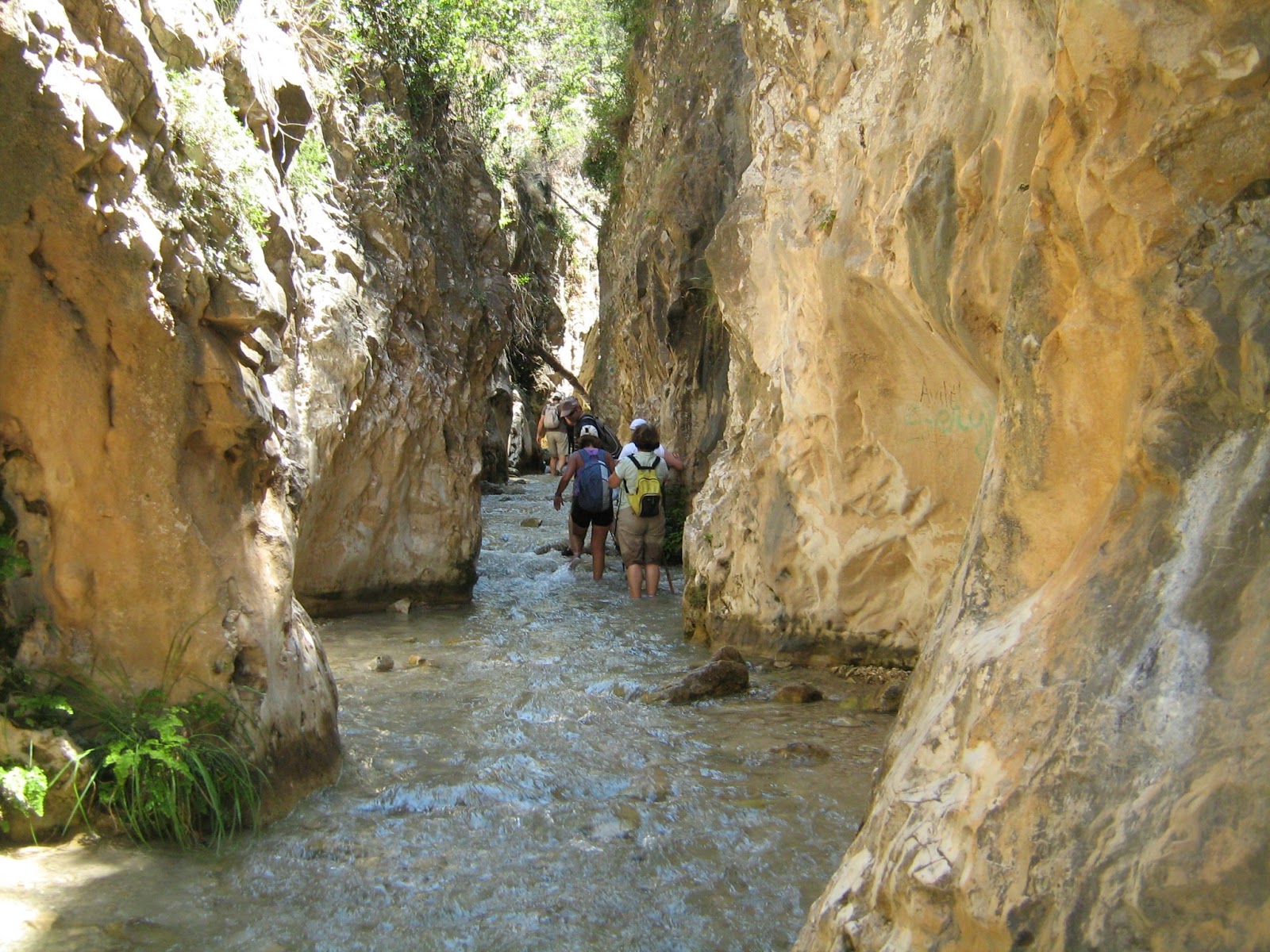 CAMINETE DE LUNA: Imágenes de la ruta al Rio Chillar Nerja
