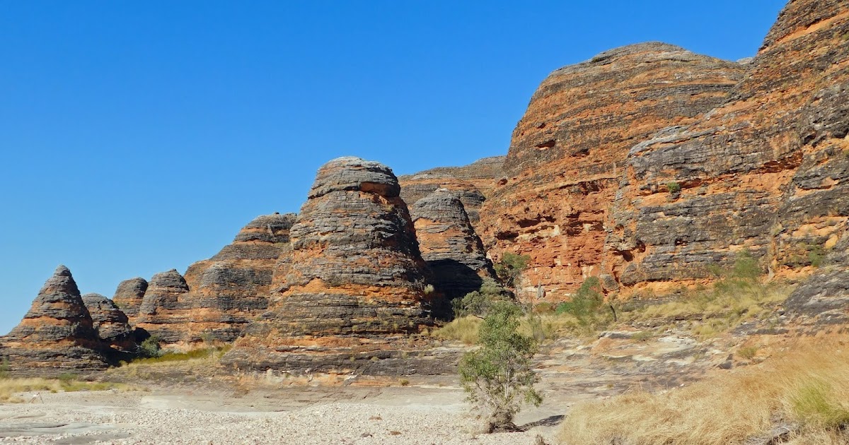 Can it happen here?: A bunch of Bungle Bungles
