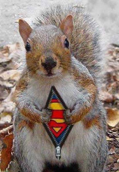 League of Extraordinary Penpals: Super Squirrel Speaks!