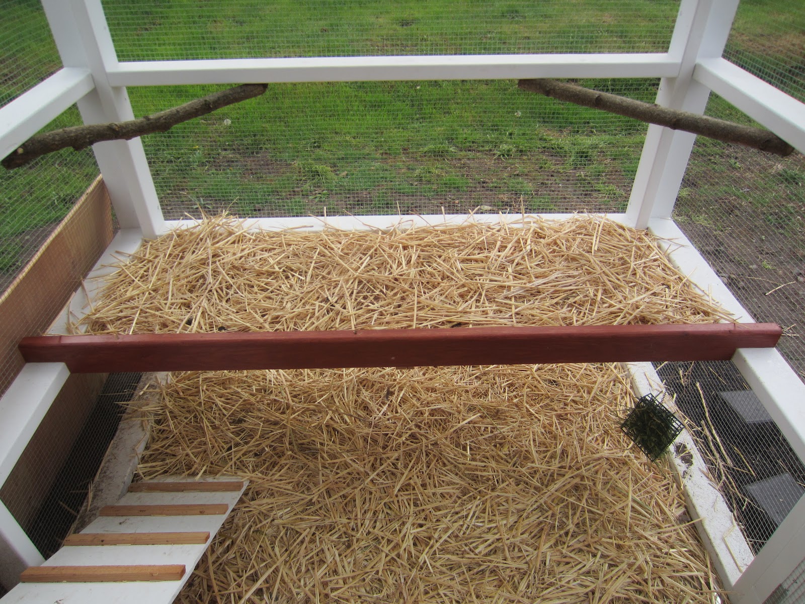 Joanie's in the Garden: How we built The Chicken Barn