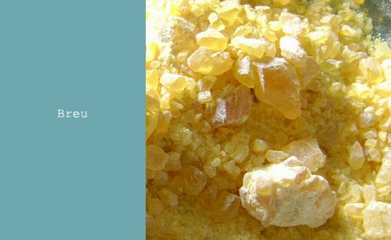 Mundo Bailarinístico - Blog de Ballet: Curiosidades Ballet - Usando breu