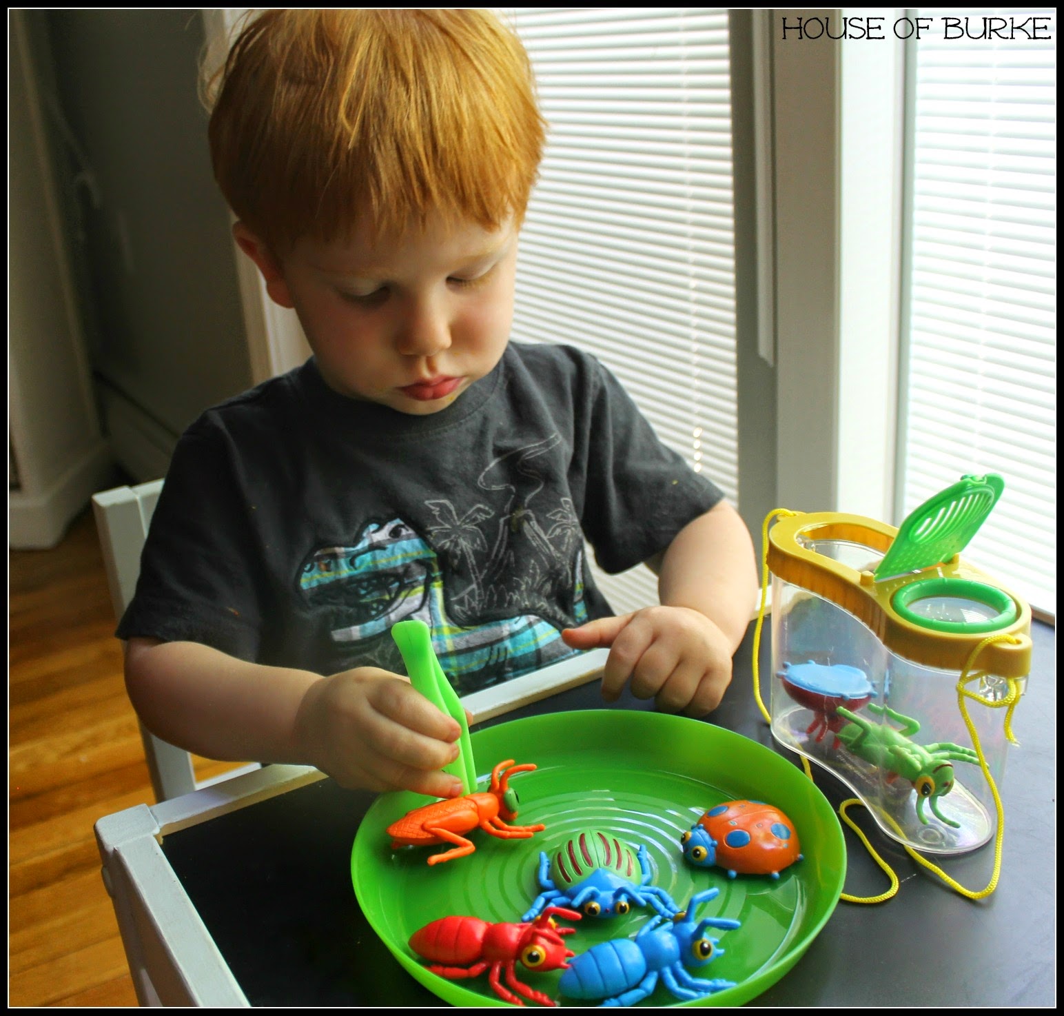 House of Burke: Fine Motor Bug Transfer
