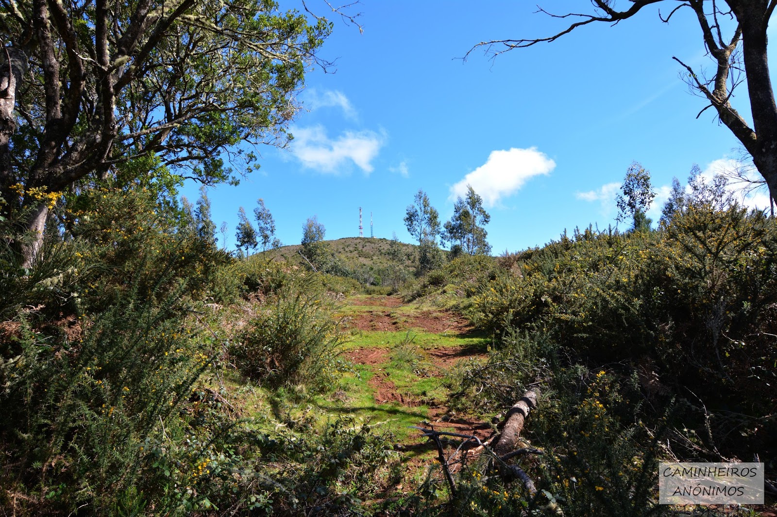 Caminheiros Anónimos Levadas da Madeira : Levada Grande (Achadas da Cruz)