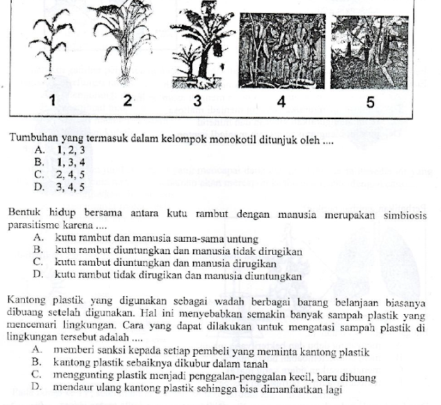 Intan Nirmala Blog's: Kumpulan Soal- Soal Ujian Nasional IPA Biologi SMP Intan Nirmala Blog's: Kumpulan Soal- Soal Ujian Nasional IPA Biologi SMP