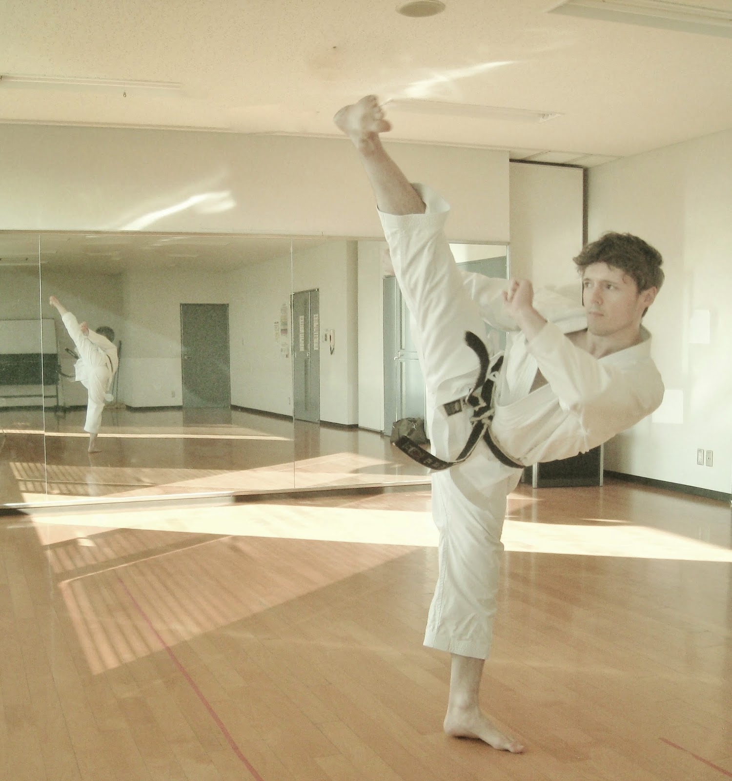 André Bertel's Karate-Do: "Holistic Control"