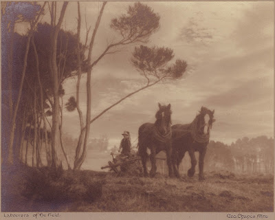 Early New Zealand Photographers: CHANCE, George