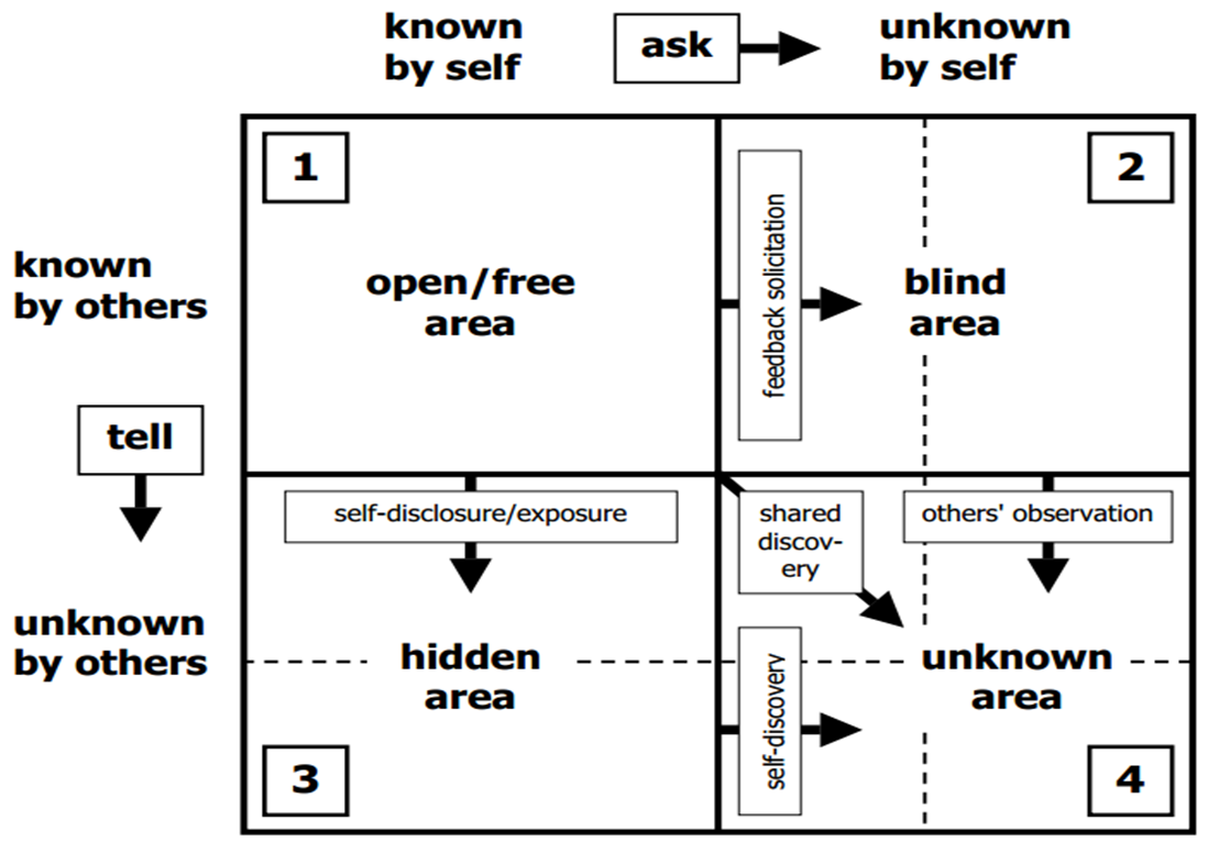 Tom's Careers In Sport Placement Blog: Model of Self-Awareness: Using ...