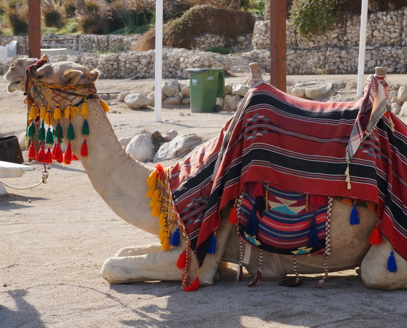 Israel: 10 coisas que você precisa saber antes de ir - Felipe, o ...