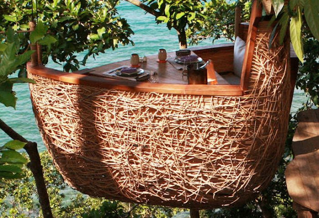 Amazing Tree Top Restaurant in Thailand (7 pics) | Daily Fun Pics