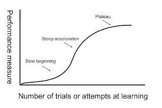 The KnowledgeSmart Blog: Learning Plateaus
