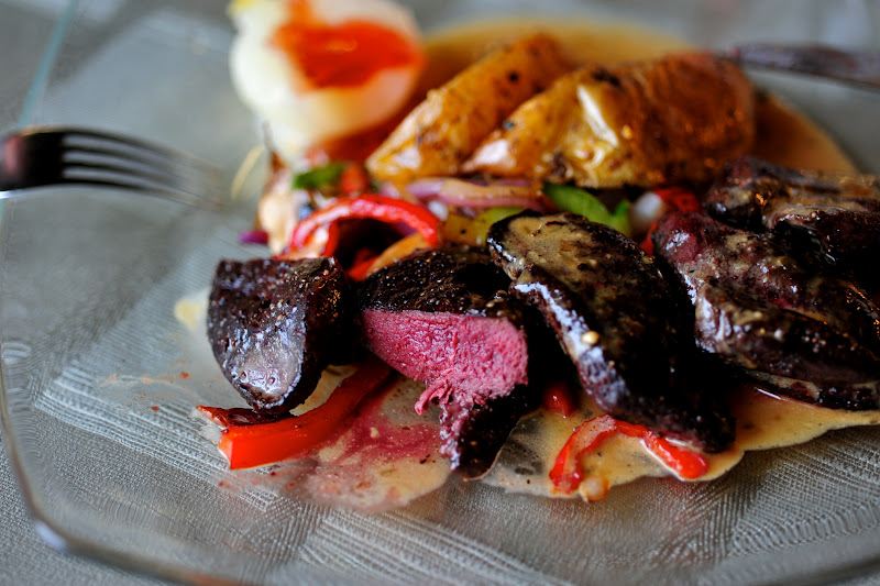 Merlin and Rebecca: In the Land of the Puffins