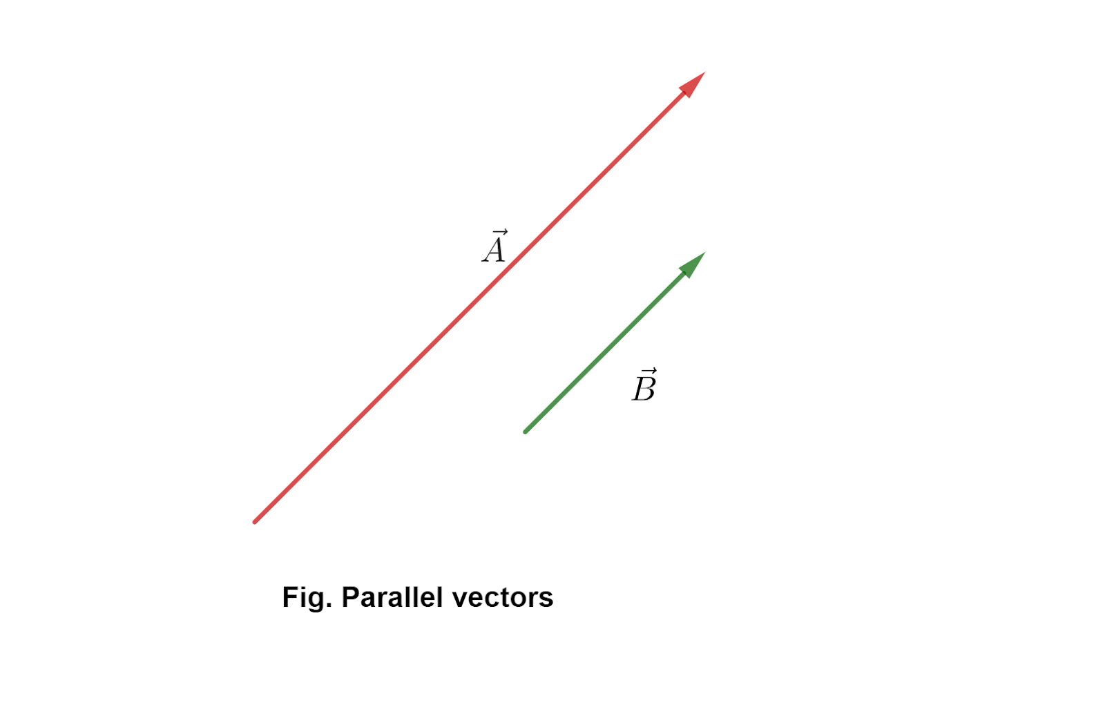 Scalars and Vectors | Complete notes | Important Questions | Class 11 ...