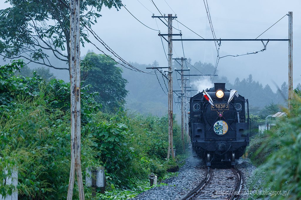 Salut! Saliut! +PLUS: 【秩父鉄道SLパレオエクスプレス撮影記事】『SL運行30周年記念号』を撮る