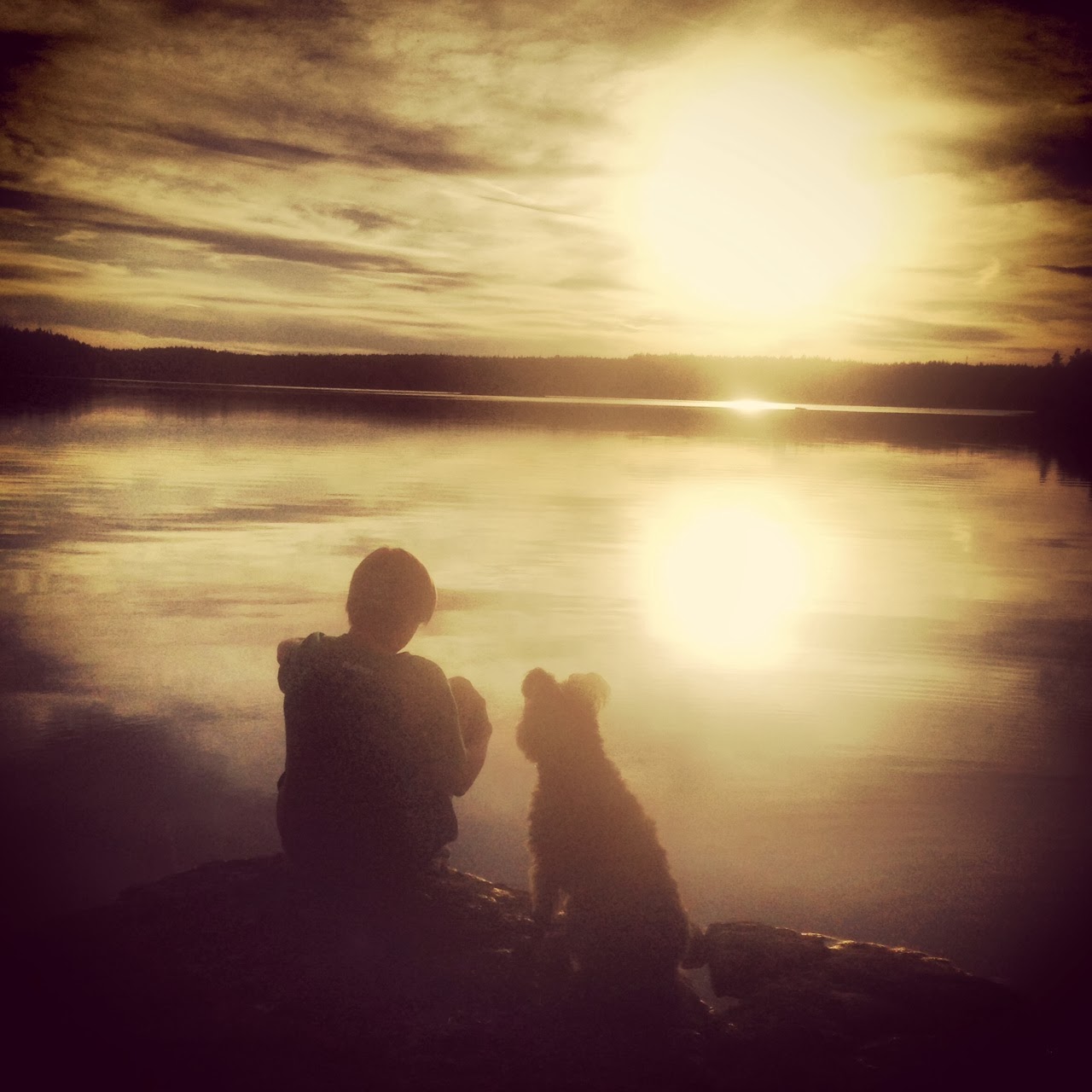 Petrapeps mobilblogg