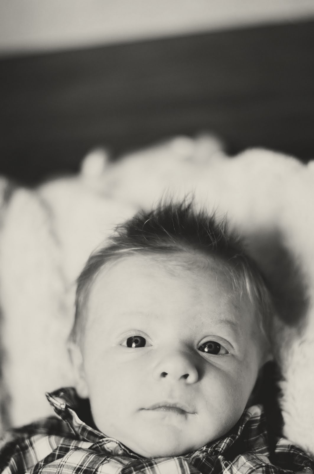 Lover of the Light.: Crain Family