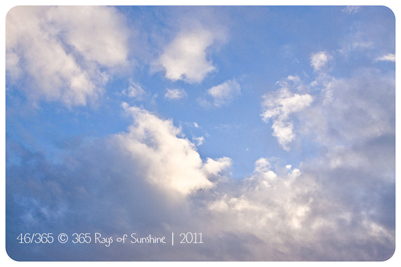 365 Rays of Sunshine: 46/365: Blue Skies in the Morning Sunshine