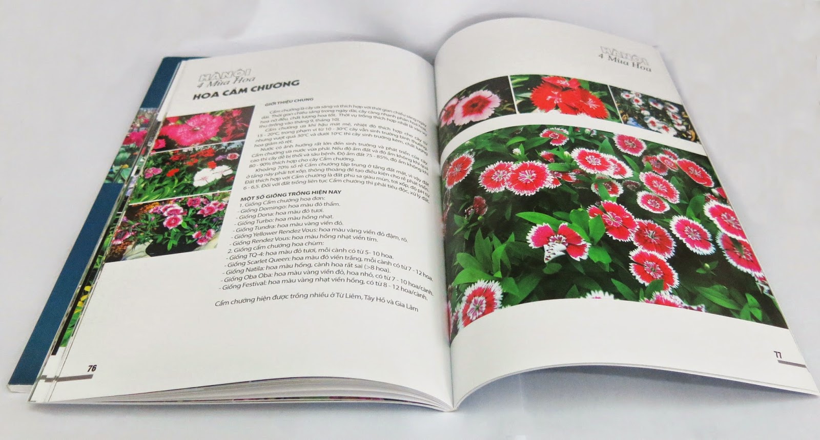 Hanoi Printing: SOY-BASED INK FOR PRINTING