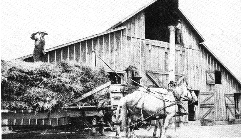 Larry's Sepia Saturday: Granger, Iowa Late 1800's
