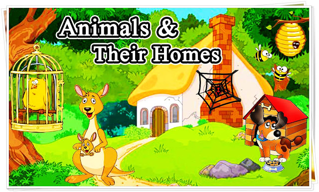 100 Animals And Their Homes List | Animals Name A To Z