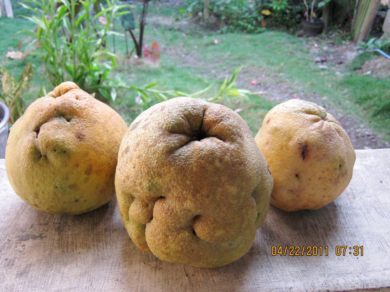 The Renegade Historian: 4/1/11 - 5/1/11