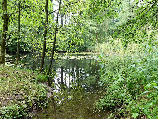 Dorpen en Steden van Nederland: Plasmolen (Limburg)
