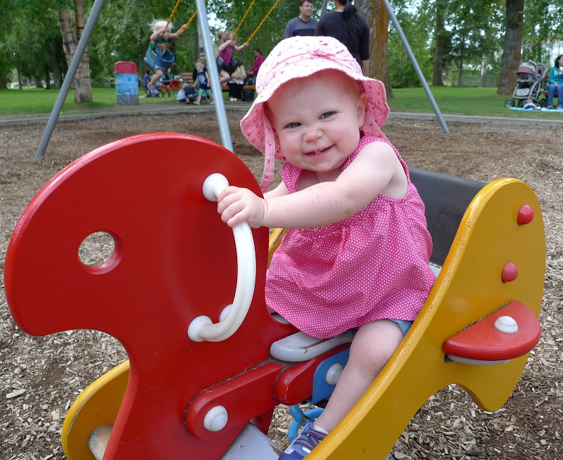 Canning Raspberry Jam – Backwoods Mama