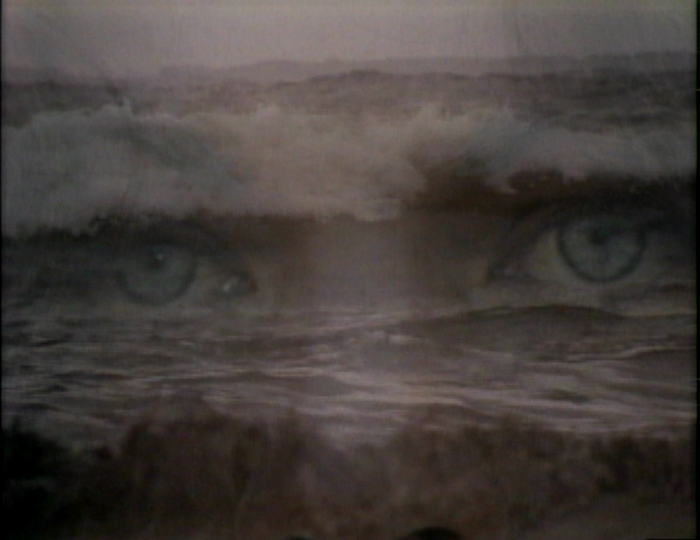 Zebradelic: Meg Foster portrays Hester Prynne