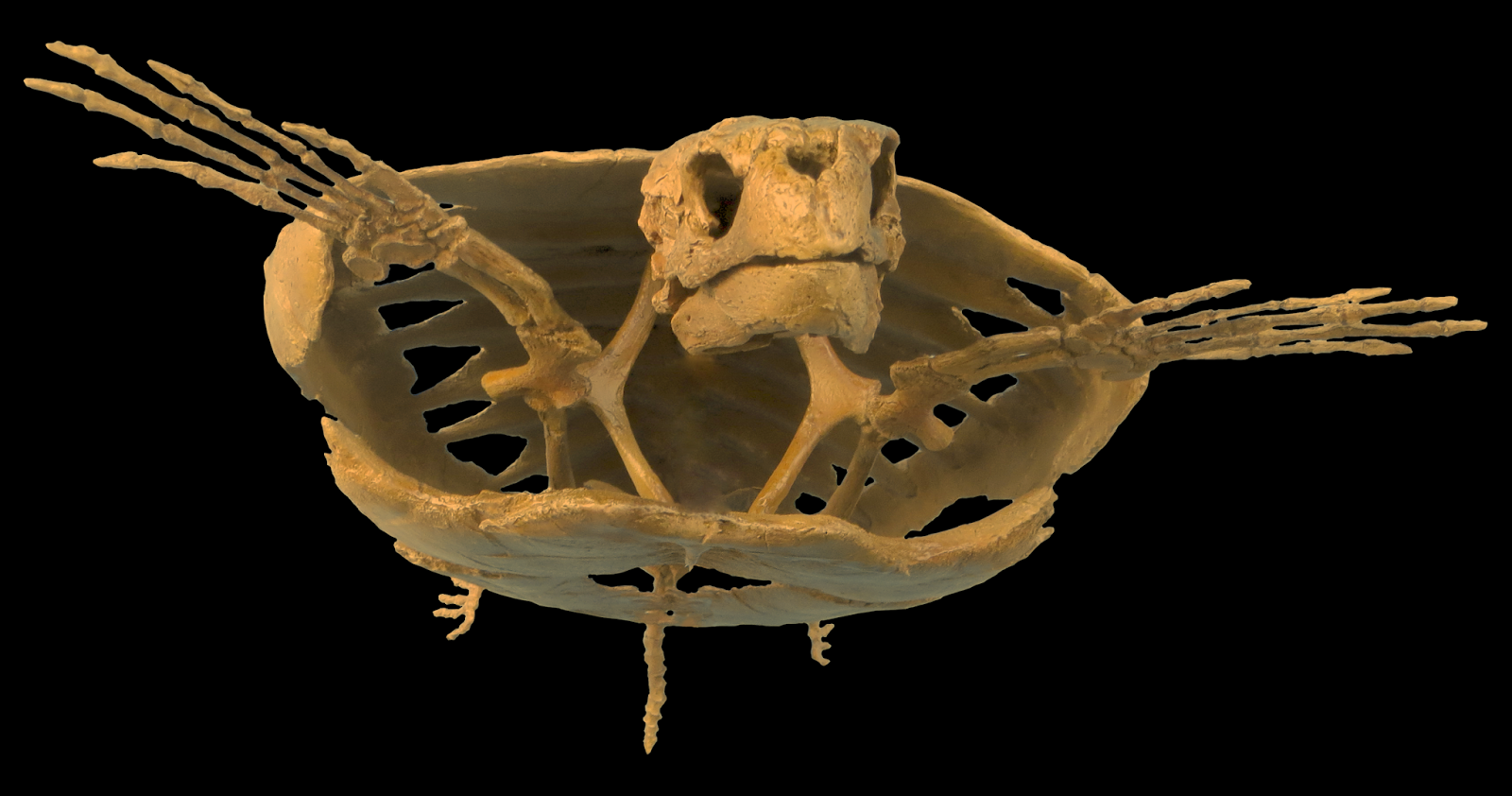 The Expeditioner's Discovery Guild: A little bit of Everything: Museums ...