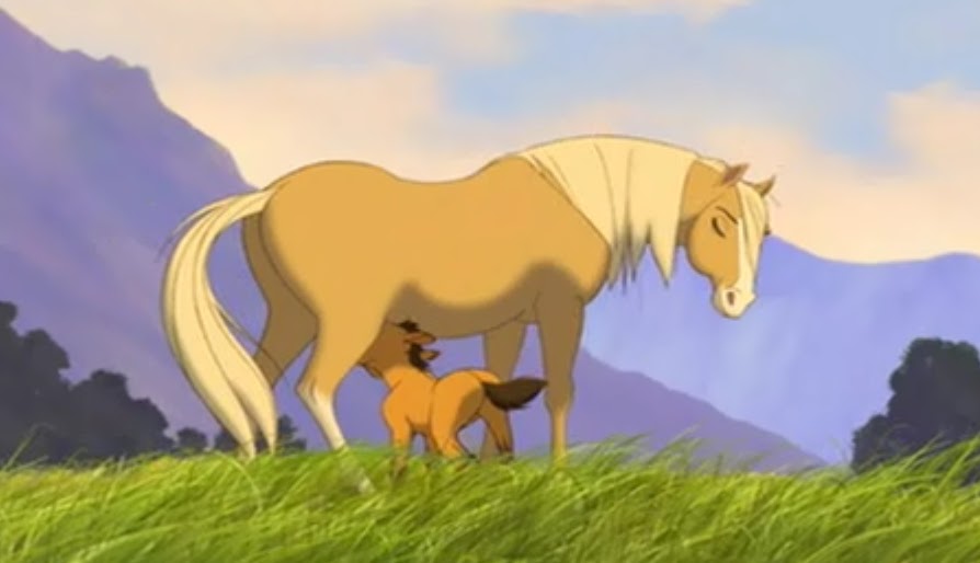 LA CIENCIA DE LA VIDA: Los animalillos de las películas de animación (XXXI). Spirit