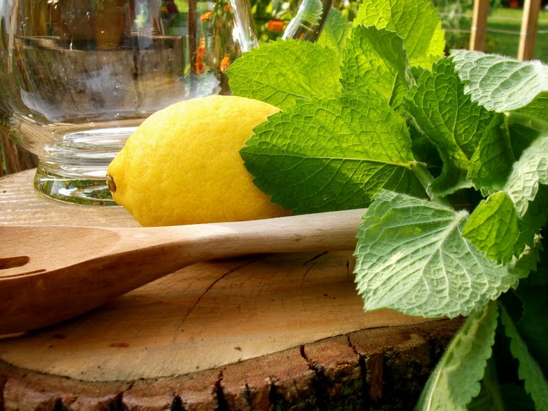 recipe | fresh mint tea - A Daily Something