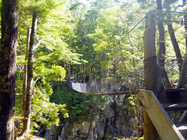 Tramping in the New Zealand backcountry: NZ Bush Adventures: Nina ...