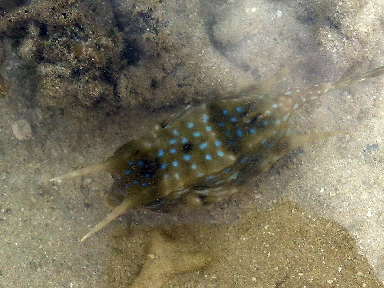 Just another day in Rawai, Phuket.: Local Life