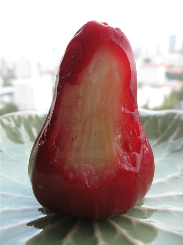 Morsels and Musings: munching rose apples in thailand