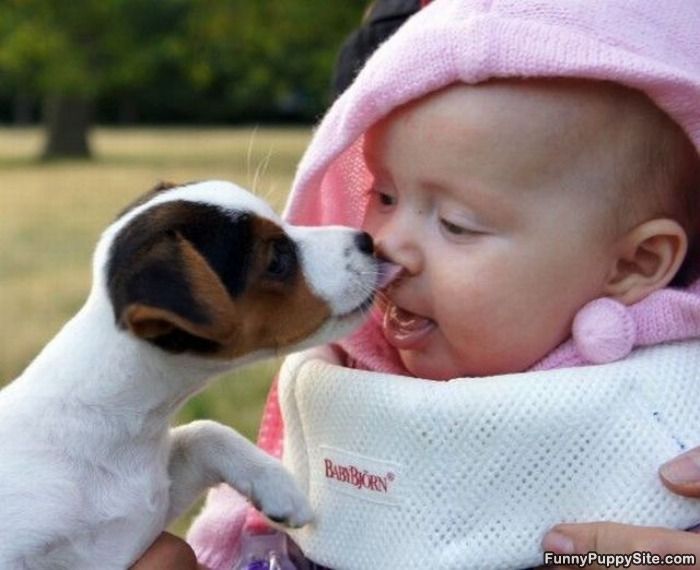 Baby And Puppy: Baby And Puppy Montage Of First Year Together