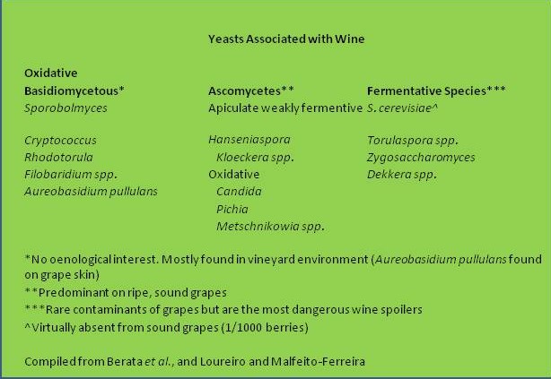Wine -- Mise en abyme: The risk of spoilage yeast contamination during ...