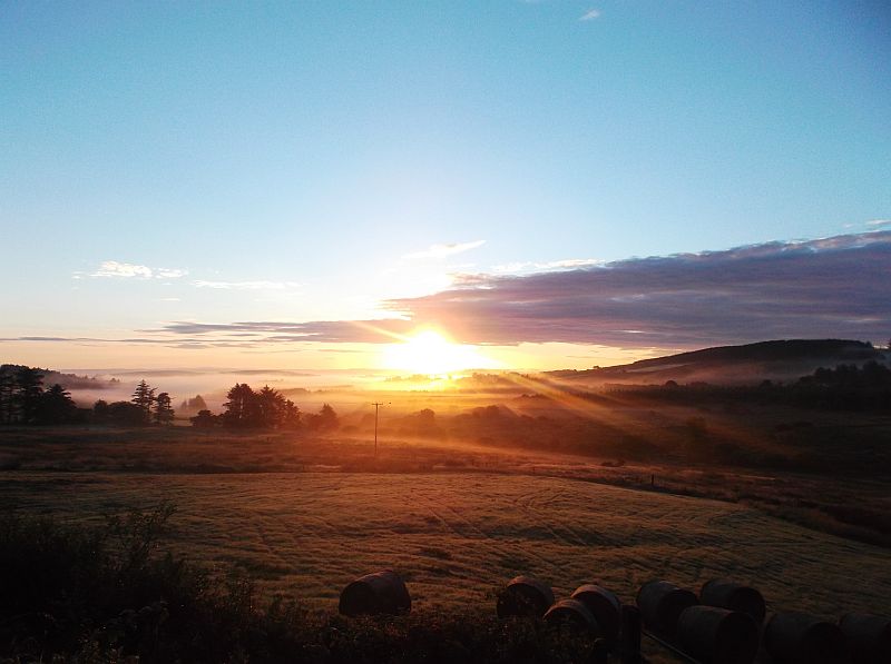 Outdoors Ireland: Sunrise Over Silage In Kerry, Near Newcastle West