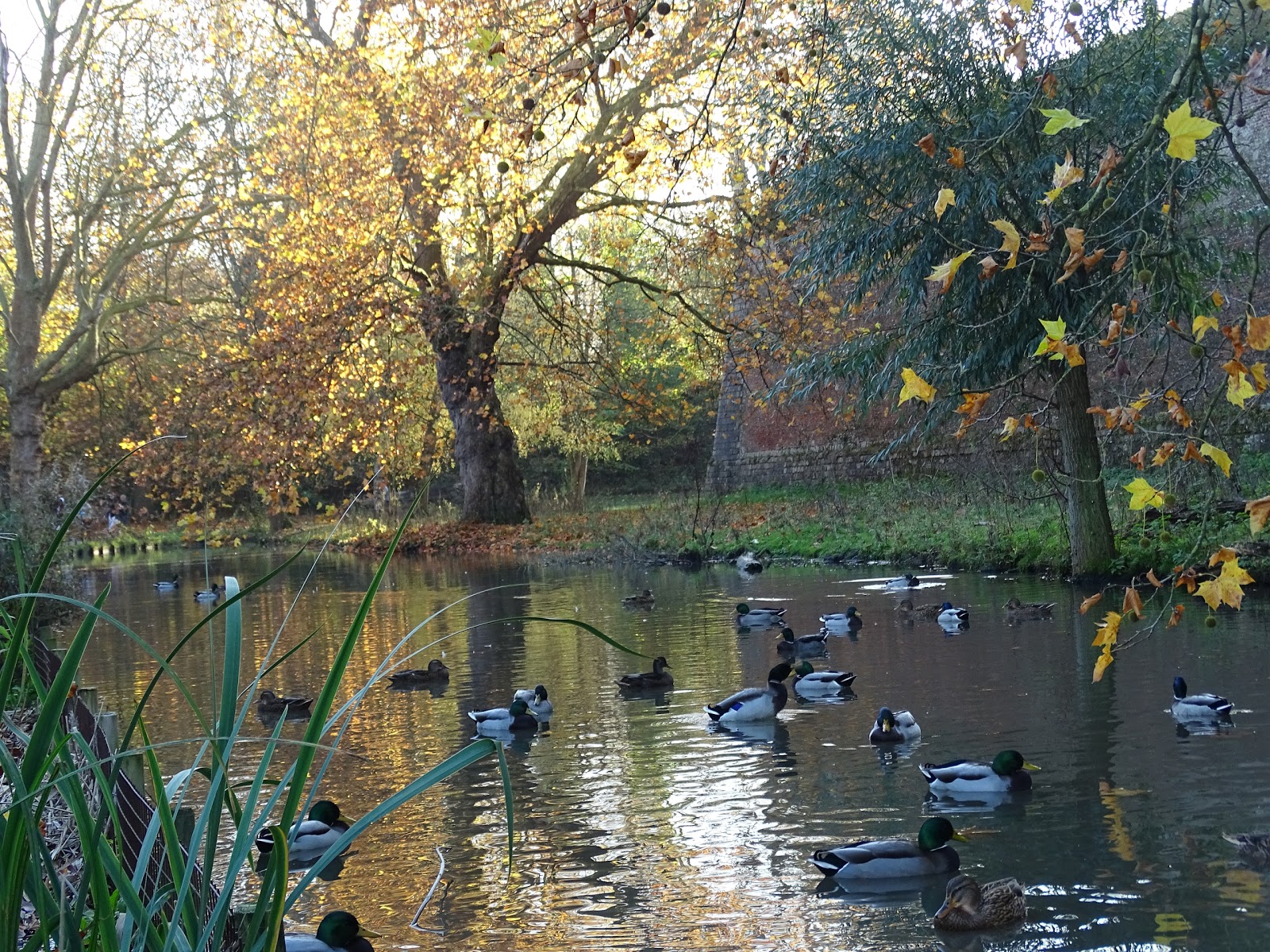 Balade en Nord à rendez-vous avec #EnFranceAussi à Lille au parc de la ...