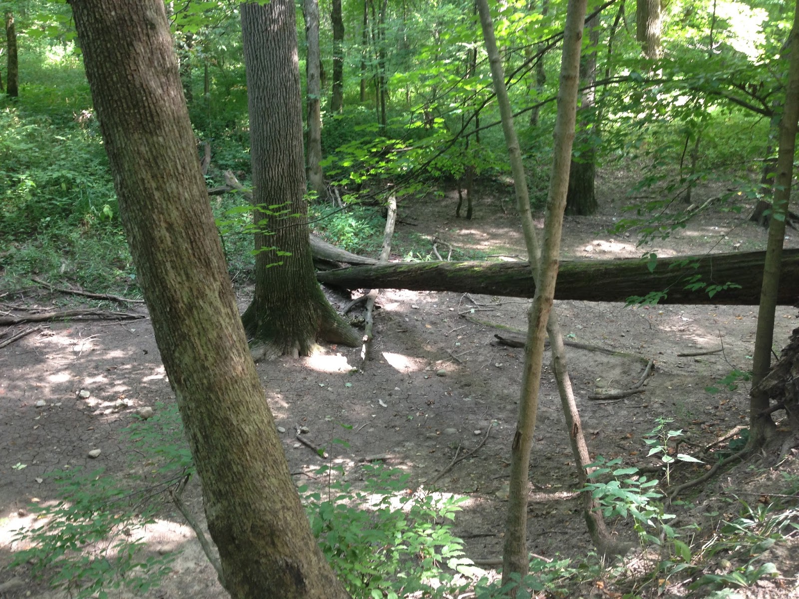 My Rotten Dogs: Hiking at Fort Benjamin Harrison-Indy Dog Friendly