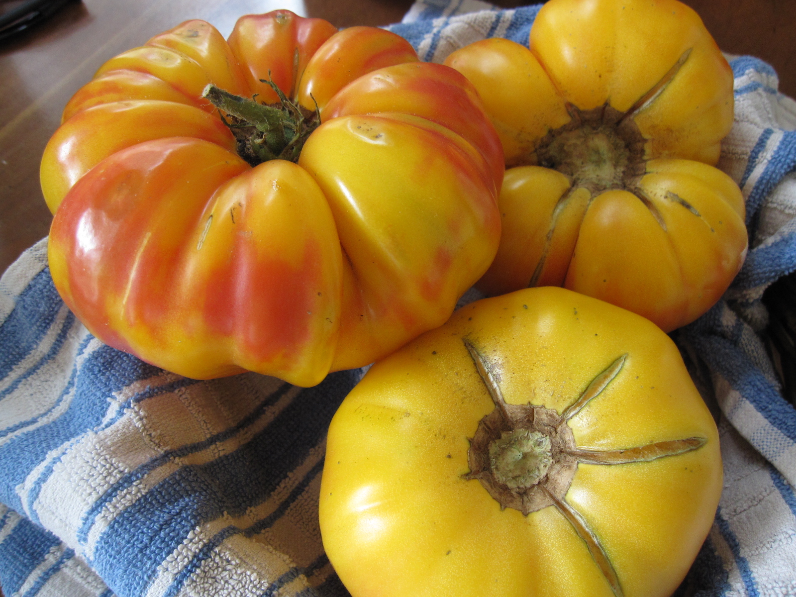 Prieta's Notes: The Tomato / El Tomate