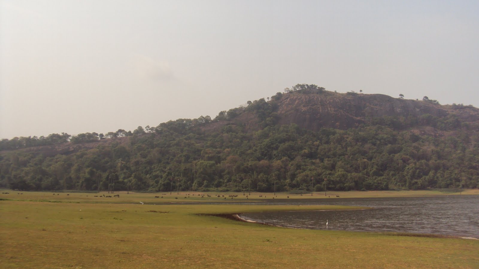 Where Eyes can tell a Dream: Kava, Palakkad