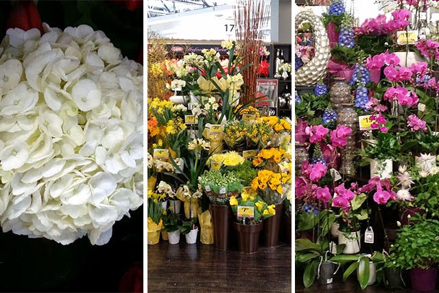 jen.ahn: Sherman Oaks Ralphs is Now Open!