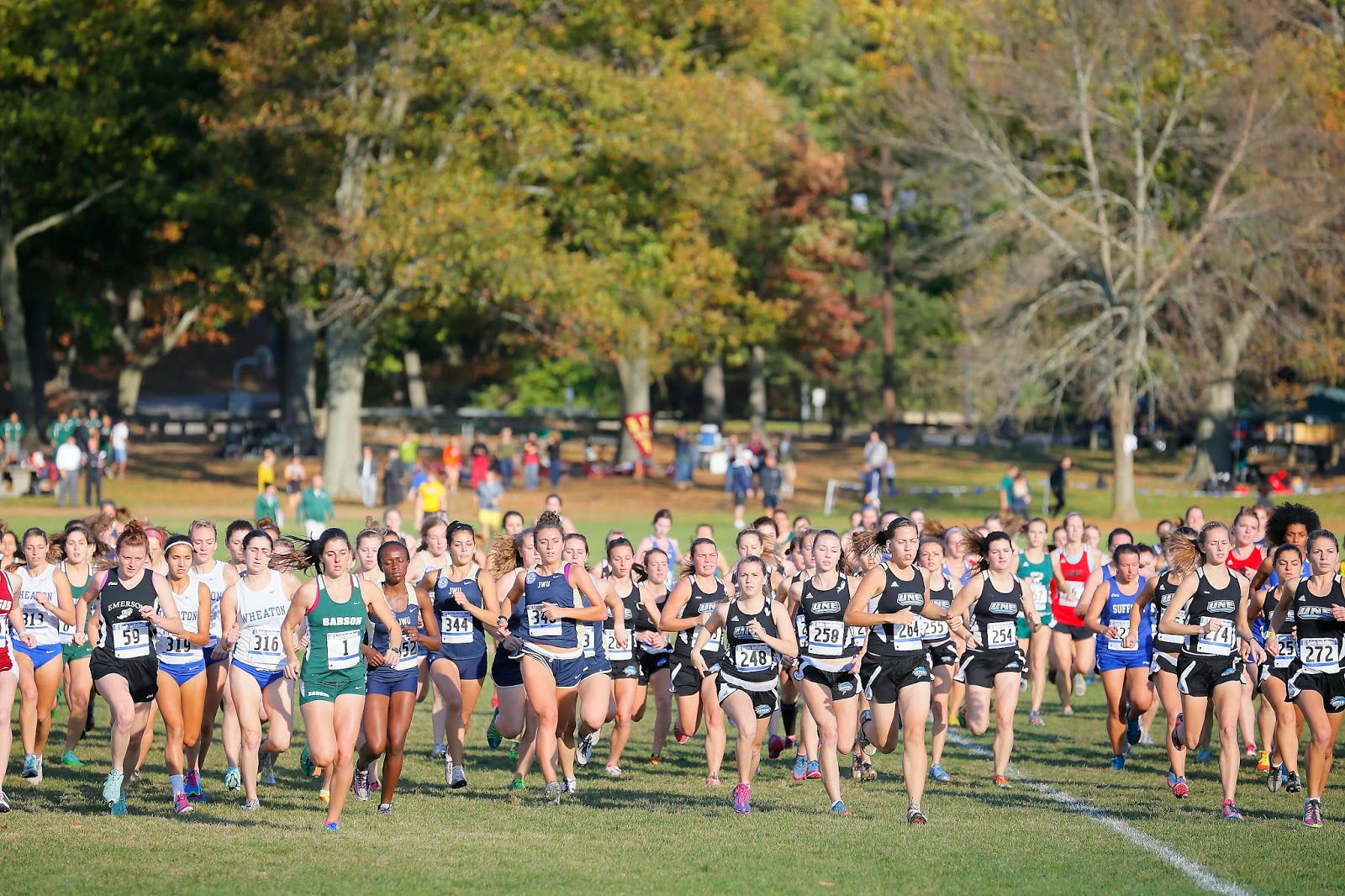 Adventures in Sports Photography: Sports Photography - Cross Country