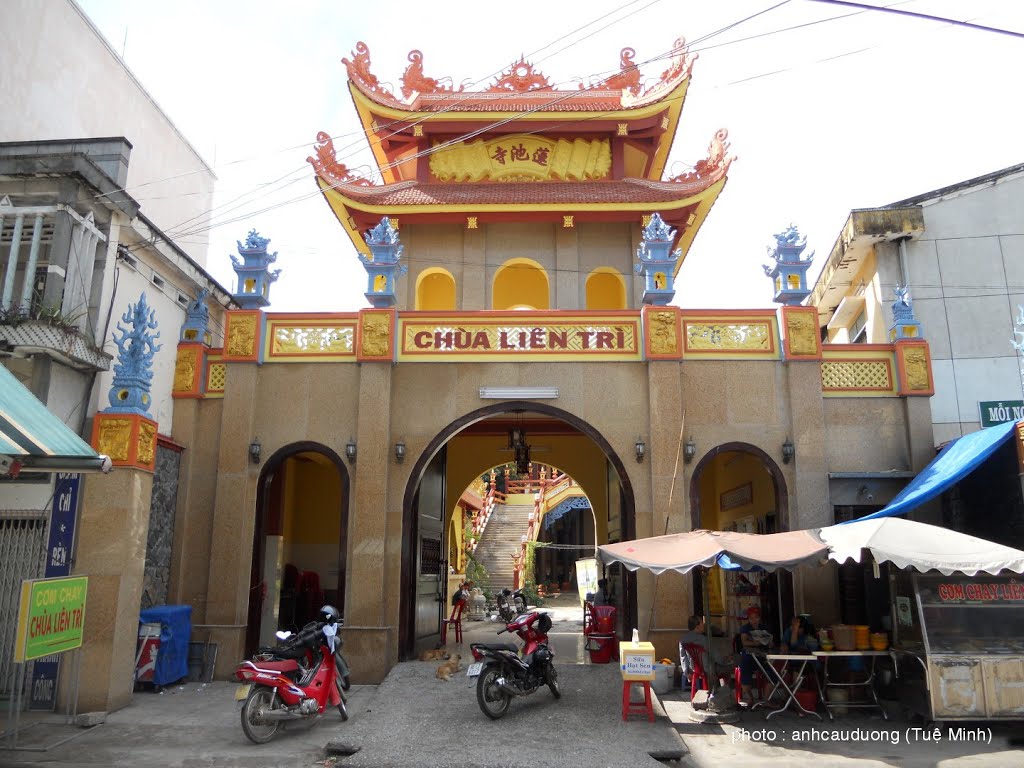 Lien Tri Pagoda incident: Land clearance for national developments