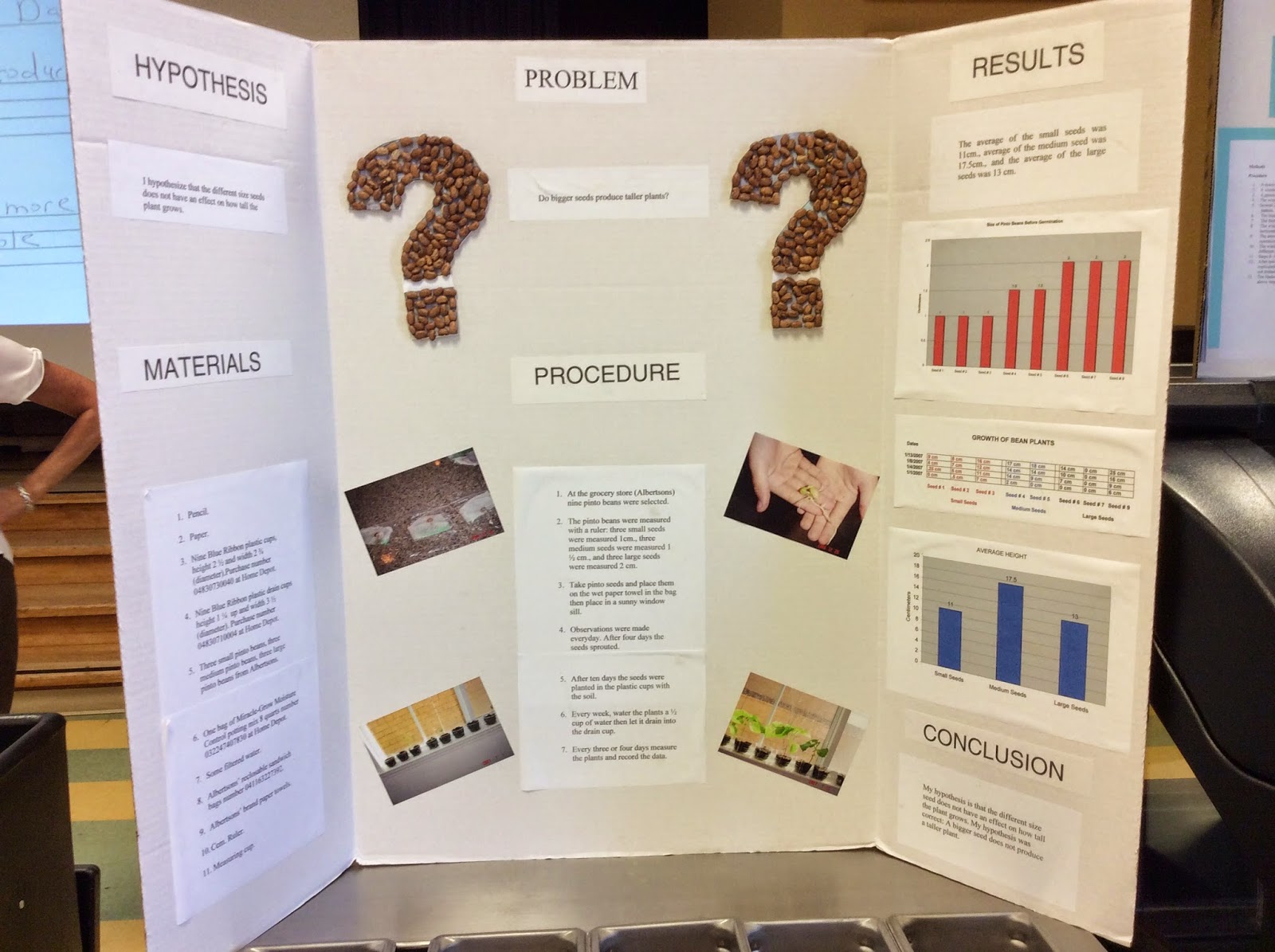Room 23: Science Fair Projects